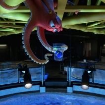 Finding Dory (2D) (LV) - BezRindas